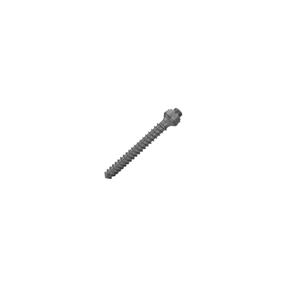 ANTERİOR TORASİK VE LOMBER PLAK BOLT - Orthozone Ortopedi Travma ...